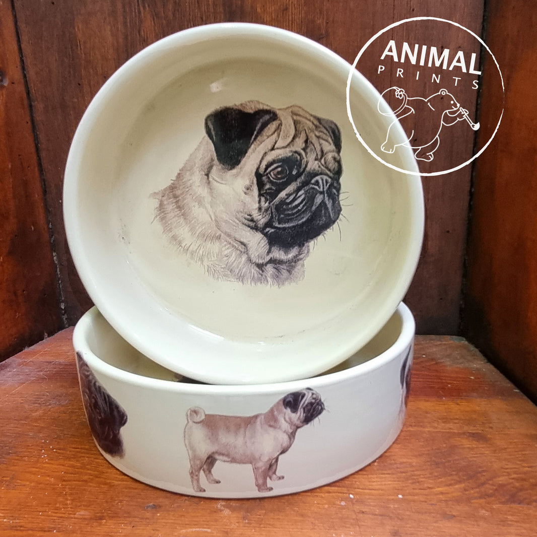 Ceramic feeders – Pets & Presents